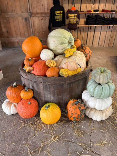 Gallery | Auglaize Canoe & Kayak & Weller Farms